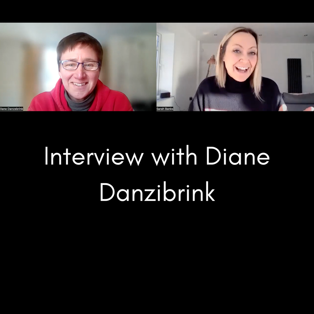 Interview with Diane Danzibrink - The Positivity Planner Collection